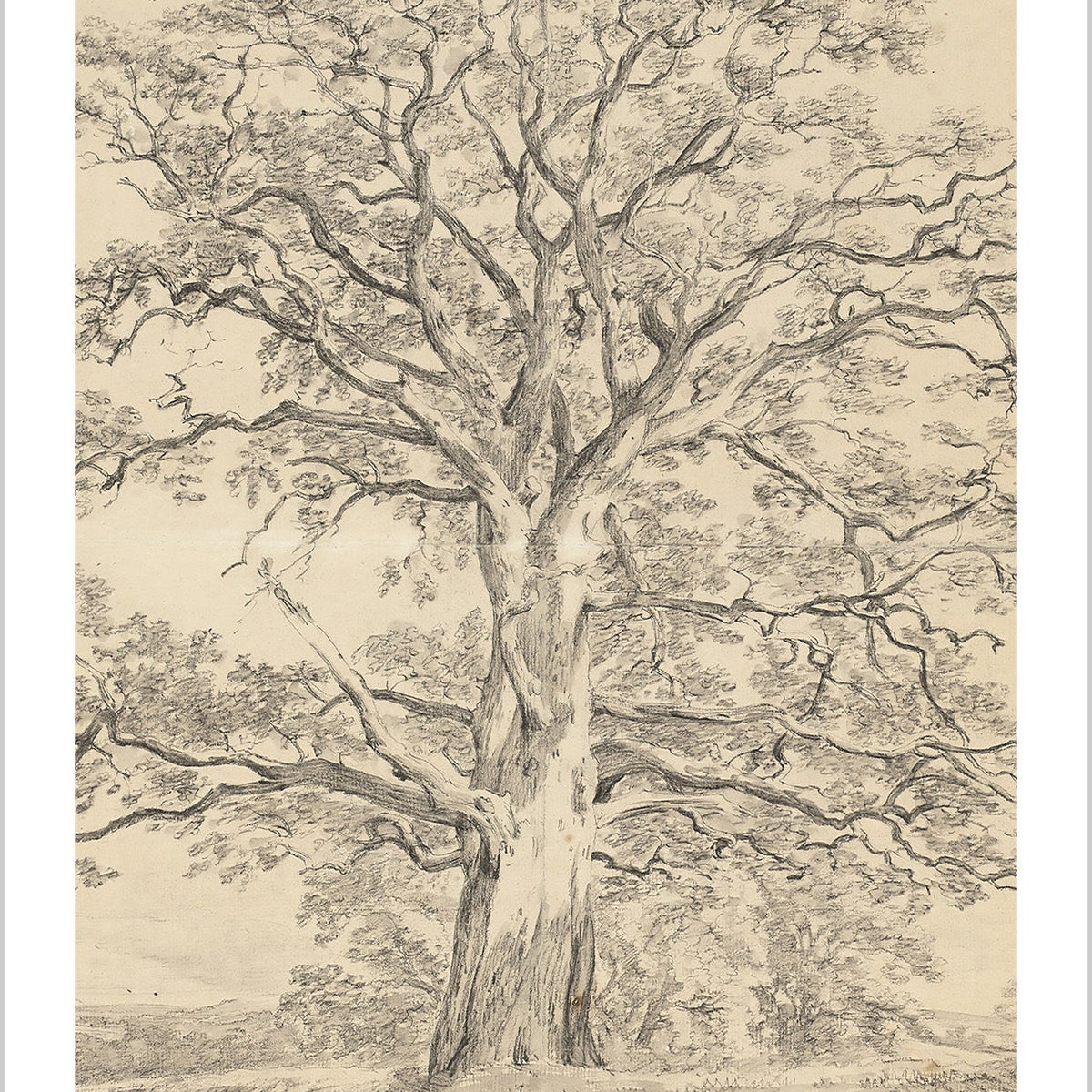 coloring pages john constable